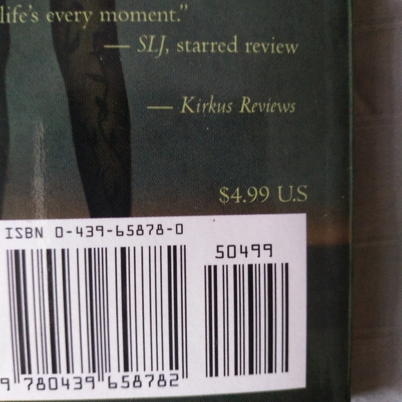 Other | Book Green Angel By Alice Hoffman | Poshmark